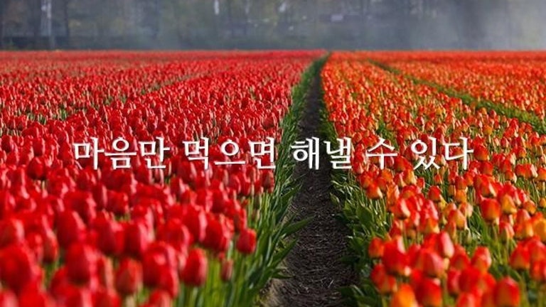 [마음만 먹으면 해낼 수 있다.] : 네이버 블로그